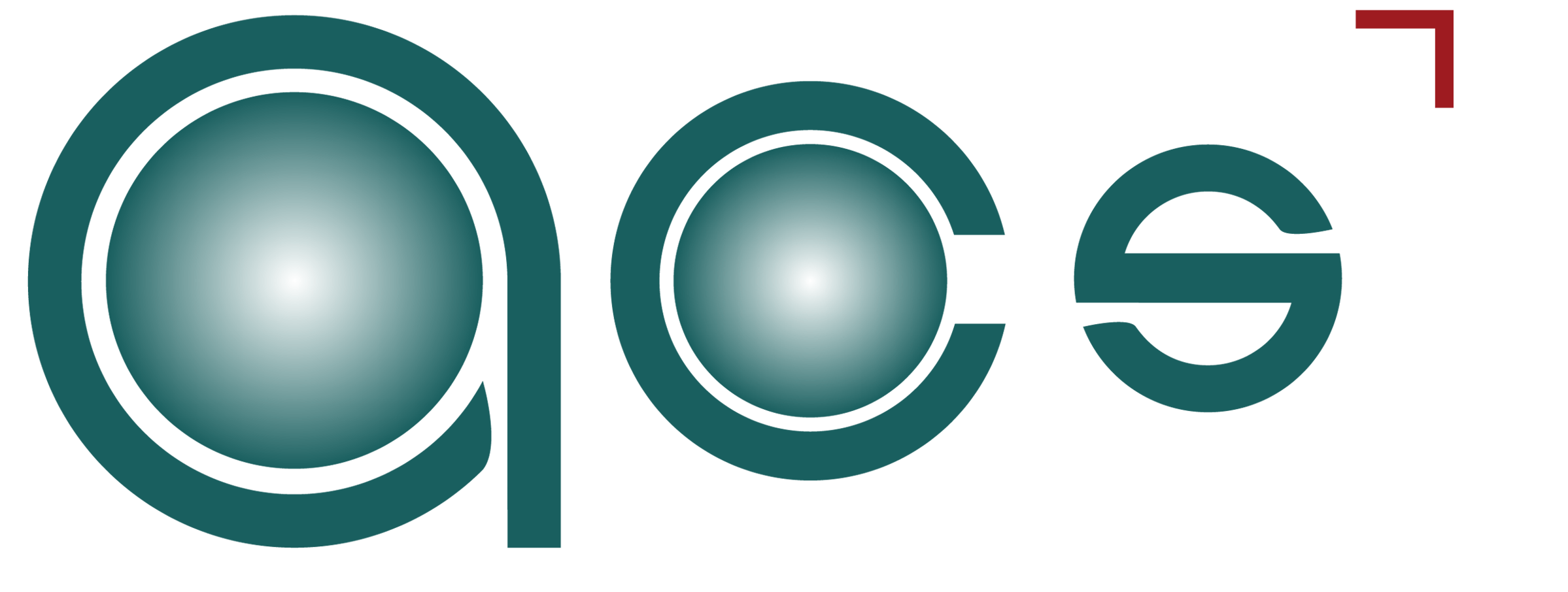 ACS INTERNATIONAL CONSULTANTS CO., LTD.